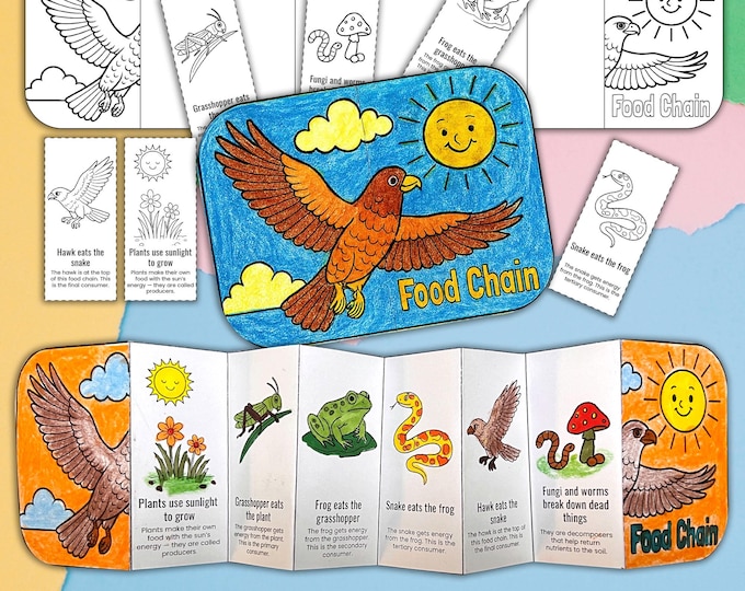 Food Chain Foldable, Food Chain Activity, Life Science Craft,stem ...