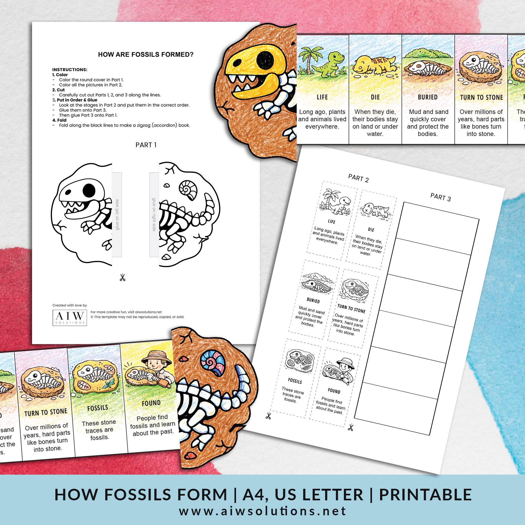How Fossils Form Activity, Fossil Life Cycle Craft, Cut and Paste ...
