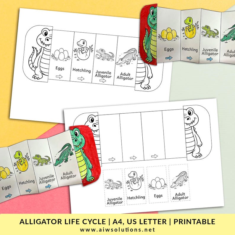 Life Cycle of an Alligator Foldable Kids' Craft, Alligator Sequencing ...