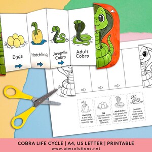 Life Cycle of a Cobra Snake Foldable Sequencing Activity,snake Life ...
