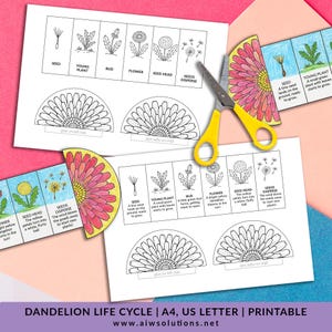 Life Cycle of A Dandelion– Foldable Sequencing Activity Craft for Kids ...