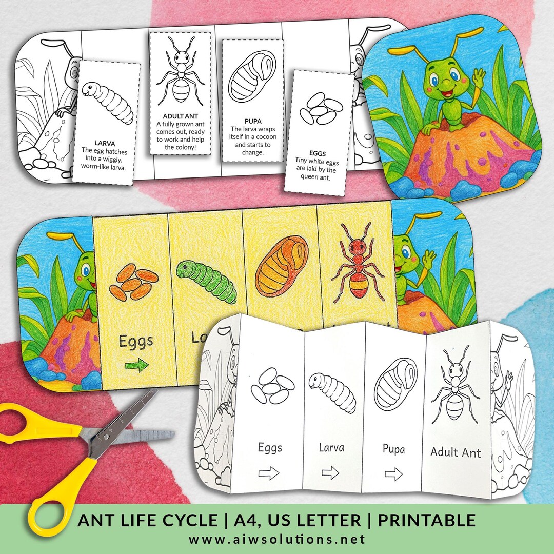 Ant Life Cycle, Life Cycle of an Ant, Ant Worksheet, Printable Ant ...