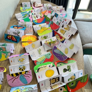 Life Cycle of A Strawberry Plant Sequence and Fold Kids’ Craft ...