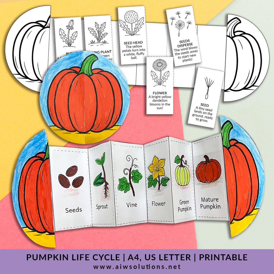Life Cycle of A Pumpkin – Foldable Sequencing Activity Craft, Pumpkin ...