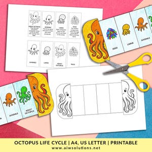 Life Cycle of an Octopus – Foldable Sequencing Activity Craft ...