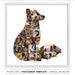 Honeycomb Photo Collage Template, Honeycomb Photo Collage Template ...