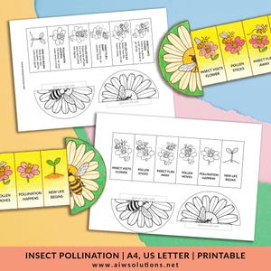Insect Pollination Sequencing Craft, Pollination Cut and Paste Flower ...