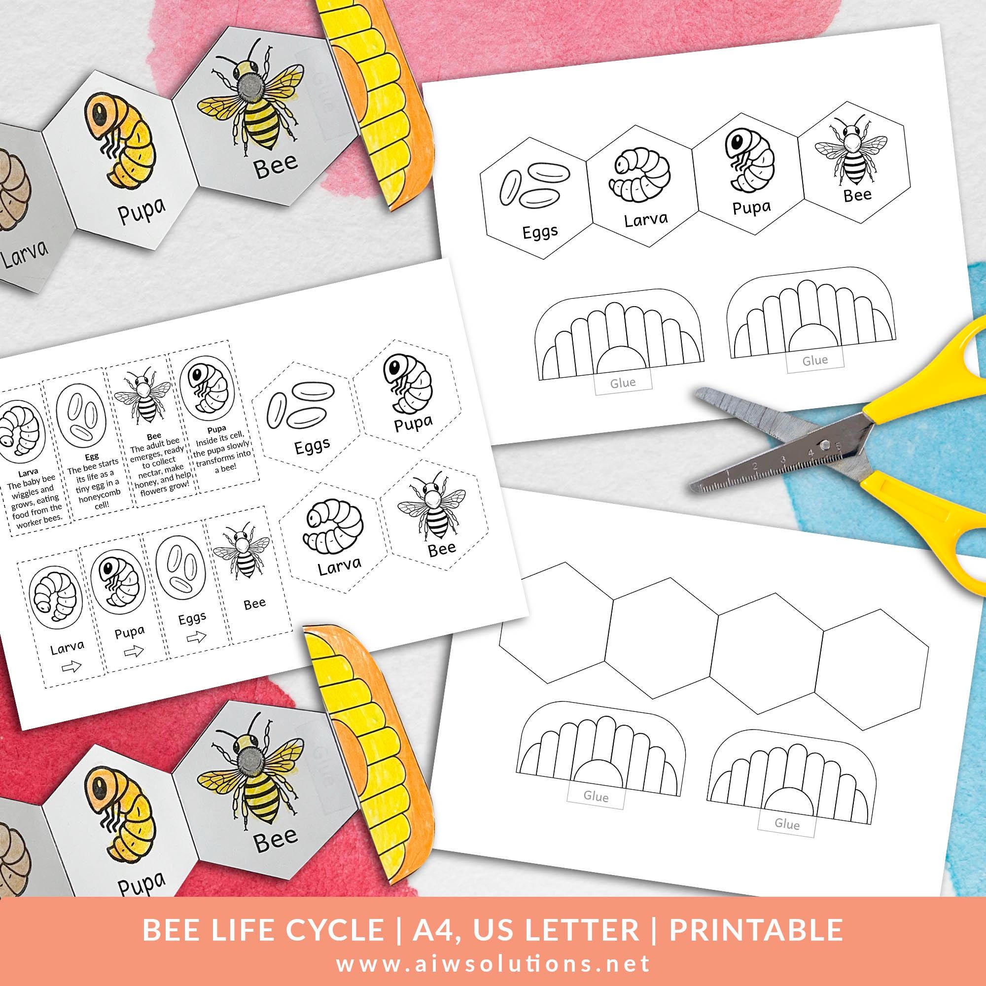 Bee Life Cycle Activity, Bee Foldable Activity, Bee Science Activity ...