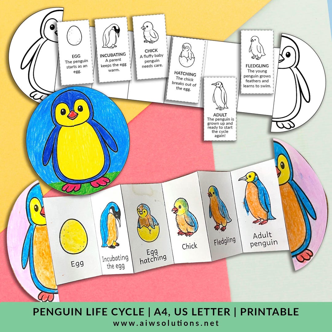 Life Cycle of A Penguin Foldable, Kids’ Craft Activity, Penguin Life ...