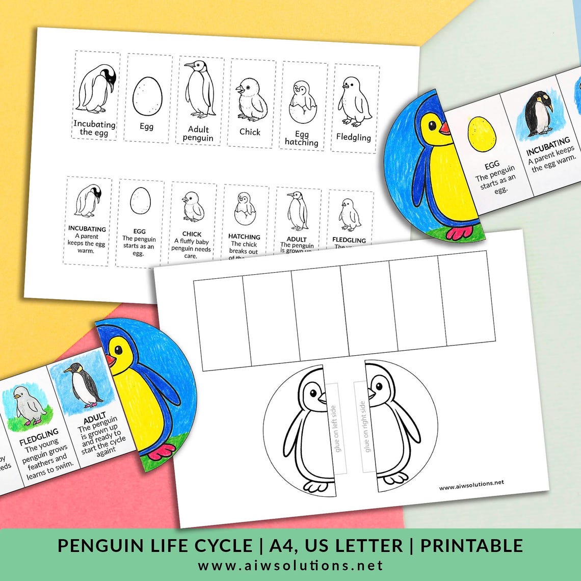 Life Cycle of A Penguin Foldable, Kids’ Craft Activity, Penguin Life ...