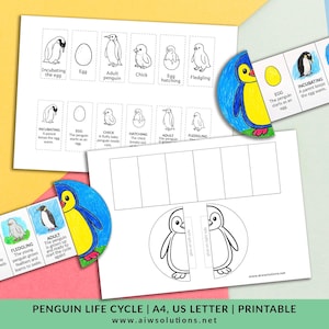 Life Cycle of A Penguin Foldable, Kids’ Craft Activity, Penguin Life ...