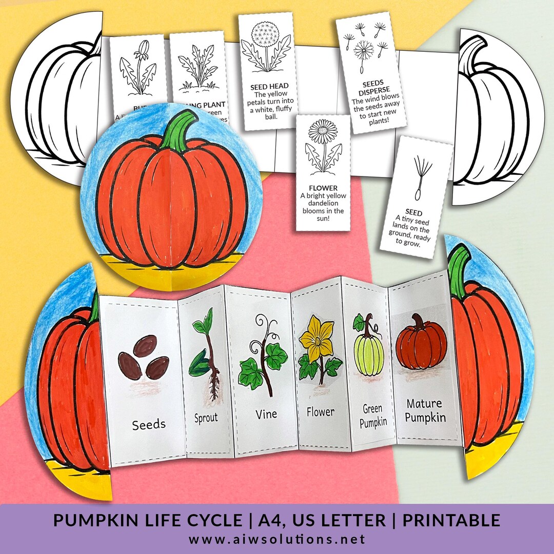 Life Cycle of A Pumpkin – Foldable Sequencing Activity Craft, Pumpkin ...