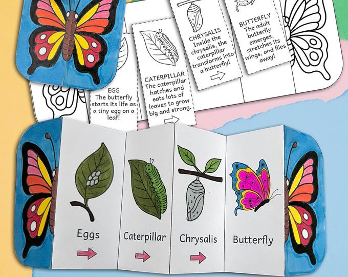 Butterfly Activity Pack Printable for Kids, Butterfly Craft, Coloring ...