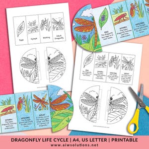 Life Cycle of A Dragonfly, Dragonfly Sequencing Activity, Coloring ...
