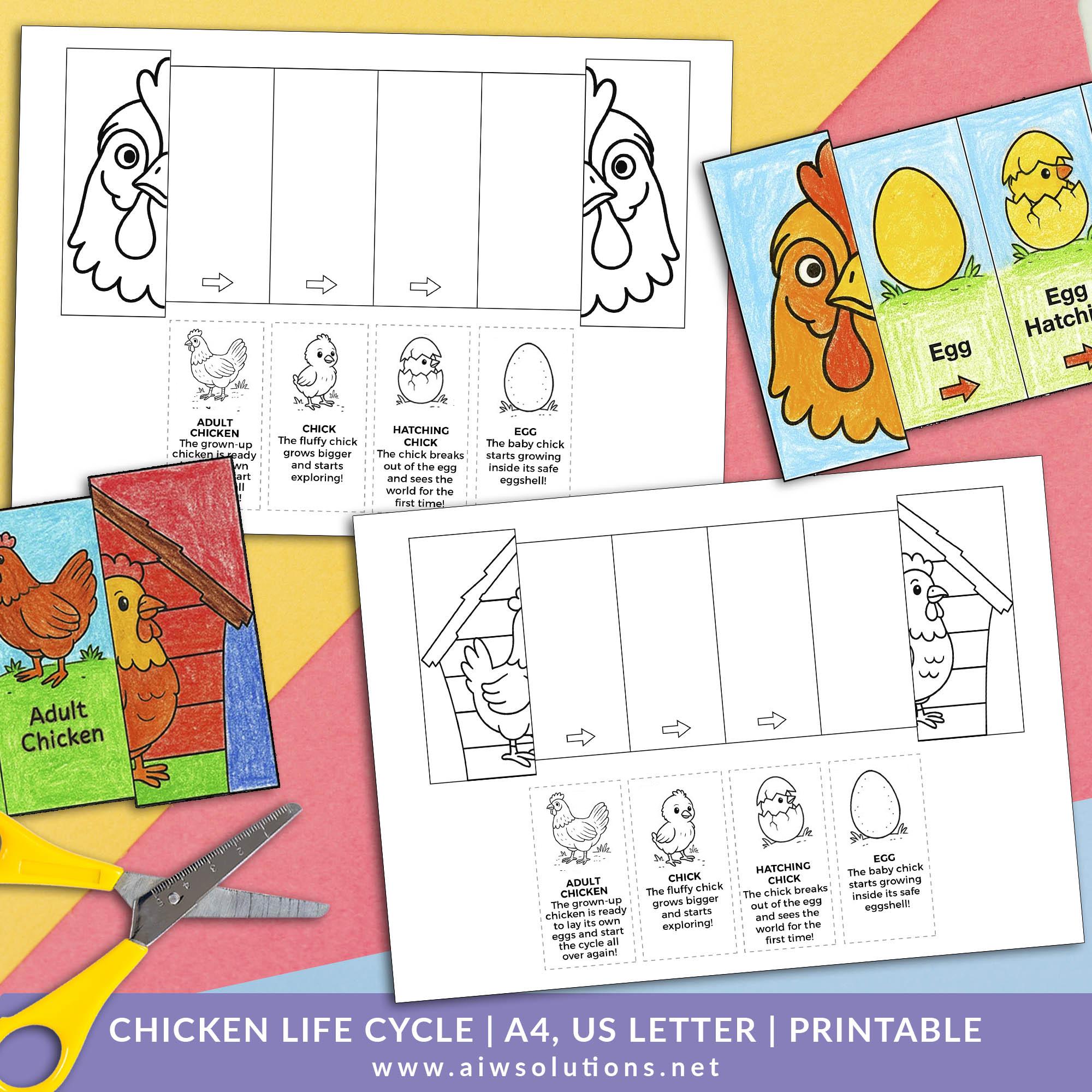 Chicken Life Cycle Activity, Animal Foldable Activity, Chicken Science ...