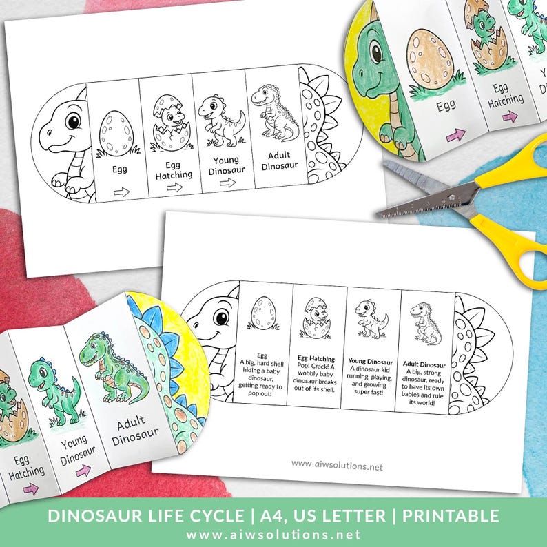 Dinosaur Life Cycle Activity, Dinosaur Foldable Activity ...