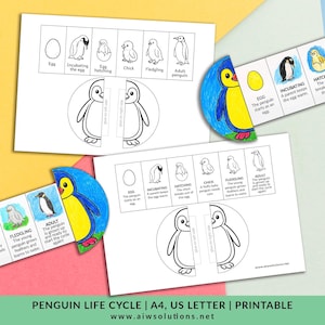 Life Cycle of A Penguin Foldable, Kids’ Craft Activity, Penguin Life ...