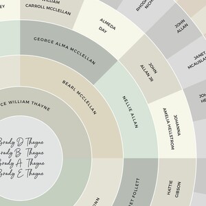 Custom Modern Circle Family Tree, Modern Genealogy, This Chart Shows 4 ...