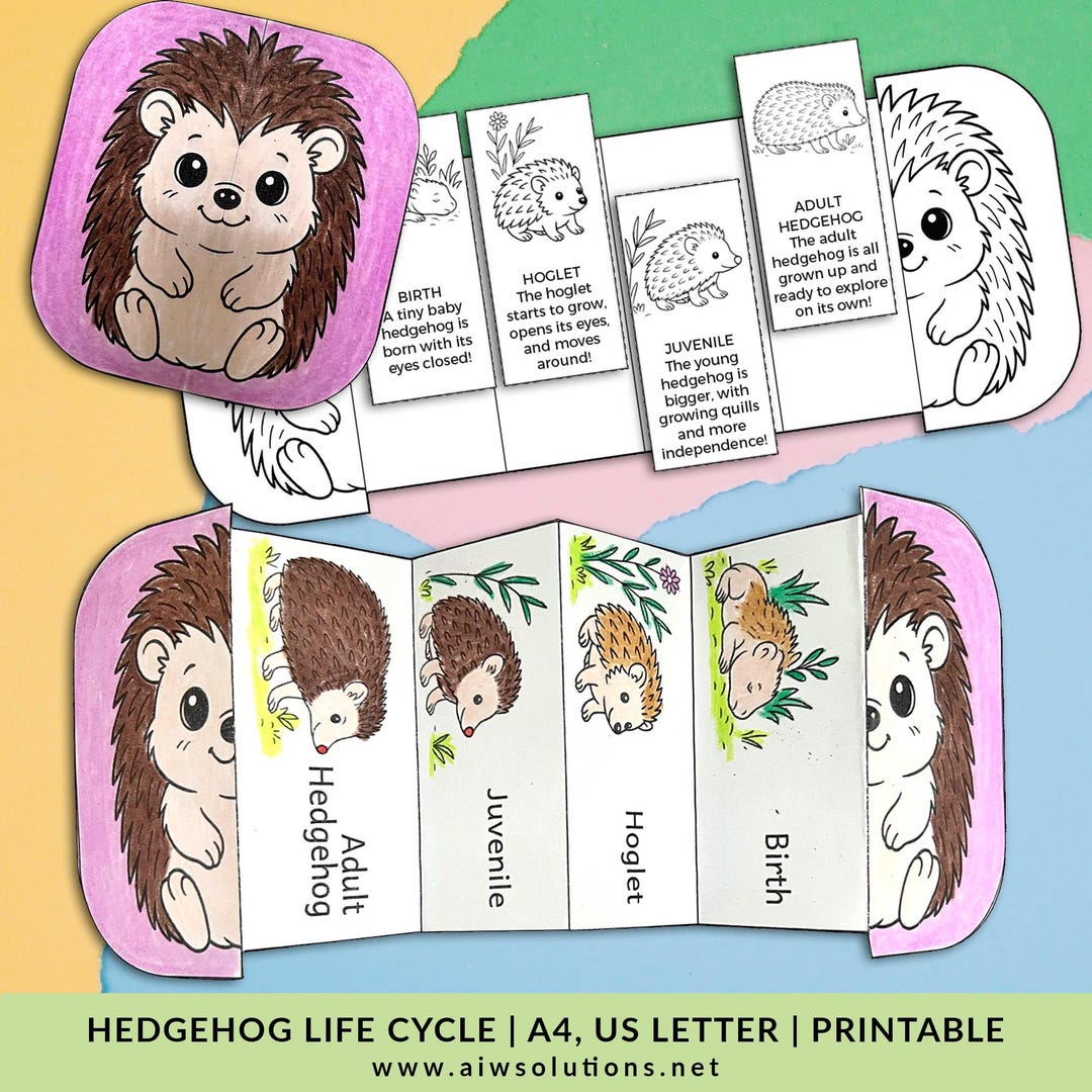 Life Cycle of a Hedgehog, Mammal Life Cycle, Animal Life Cycle ...