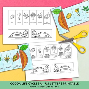 Life Cycle of A Cocoa (cacao) Plant Printable Activity, Where Chocolate ...