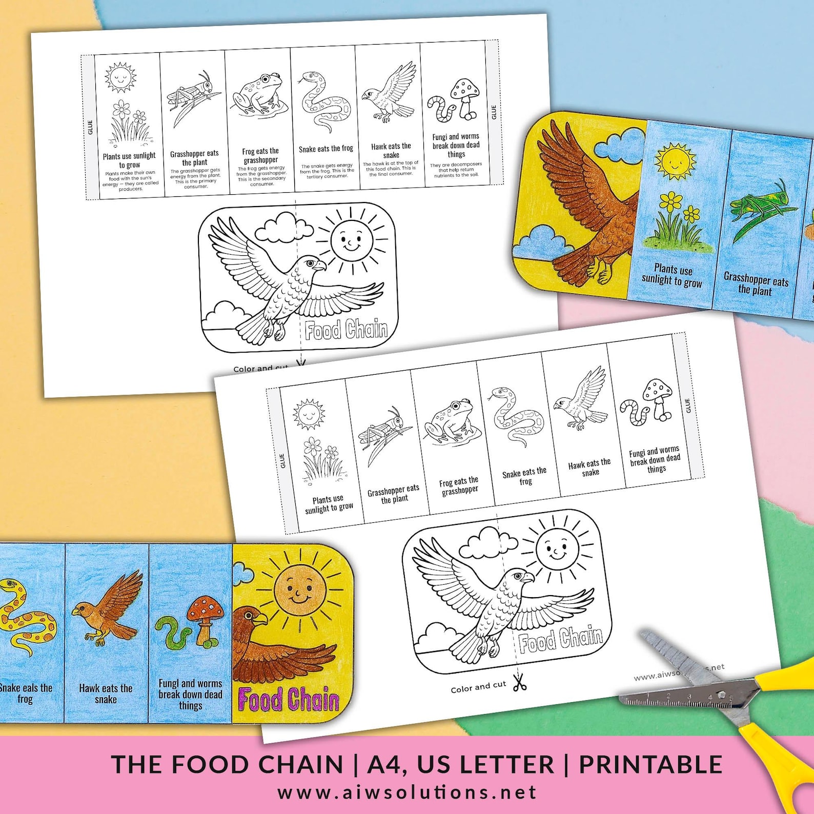 Food Chain Foldable, Food Chain Activity, Life Science Craft,stem ...
