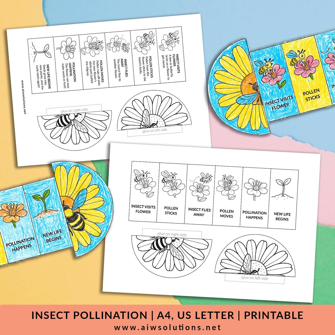 Insect Pollination Sequencing Craft, Pollination Cut and Paste Flower ...
