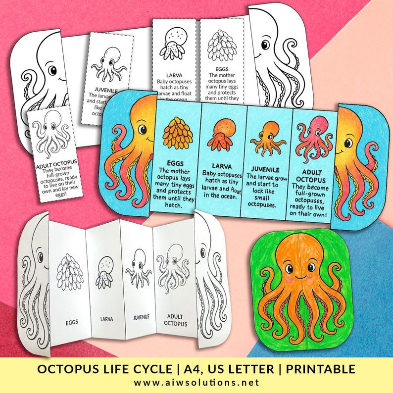 Life Cycle of an Octopus – Foldable Sequencing Activity Craft ...