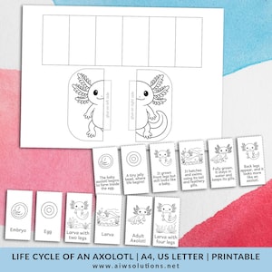 Axolotl Life Cycle Craft | Cut, Fold & Learn Science Printable, Axolotl ...