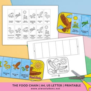 Food Chain Foldable Food Chain Activity Life Science Craft Stem