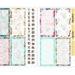 TN Regular Boxes Sticker Kits 2 - Etsy