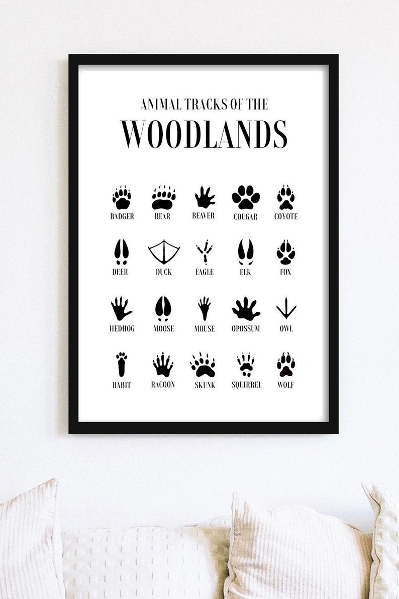 Woodland Animal Tracks Print, Rustic Nursery Decor (digital Download ...