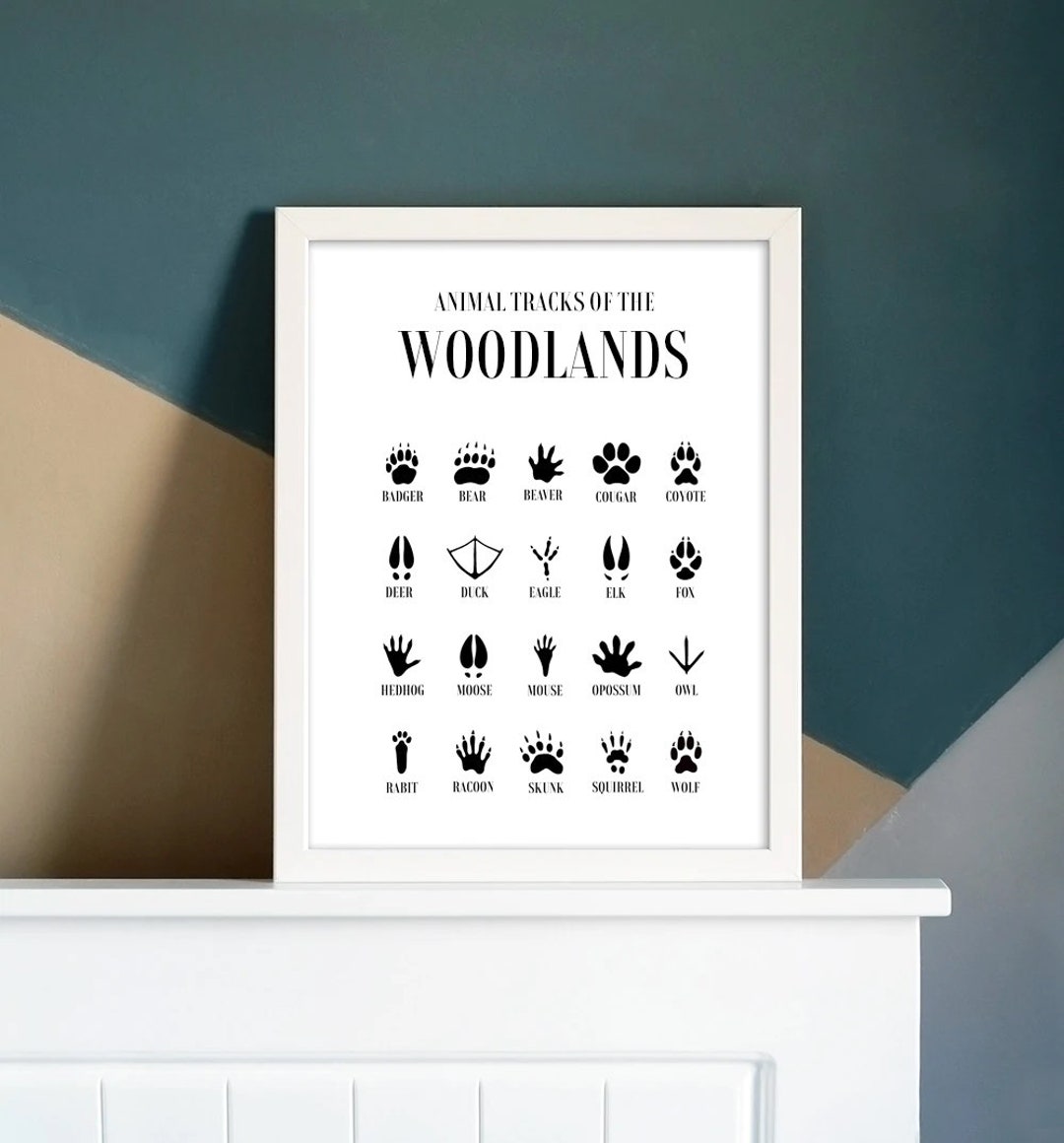 Animal Tracks Print, Animal Tracks of the Woodlands, Woodland Animal ...