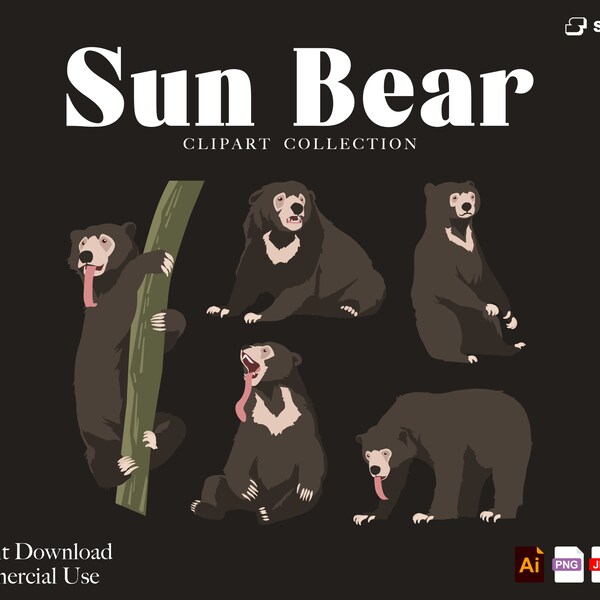 Sun Bear - Etsy