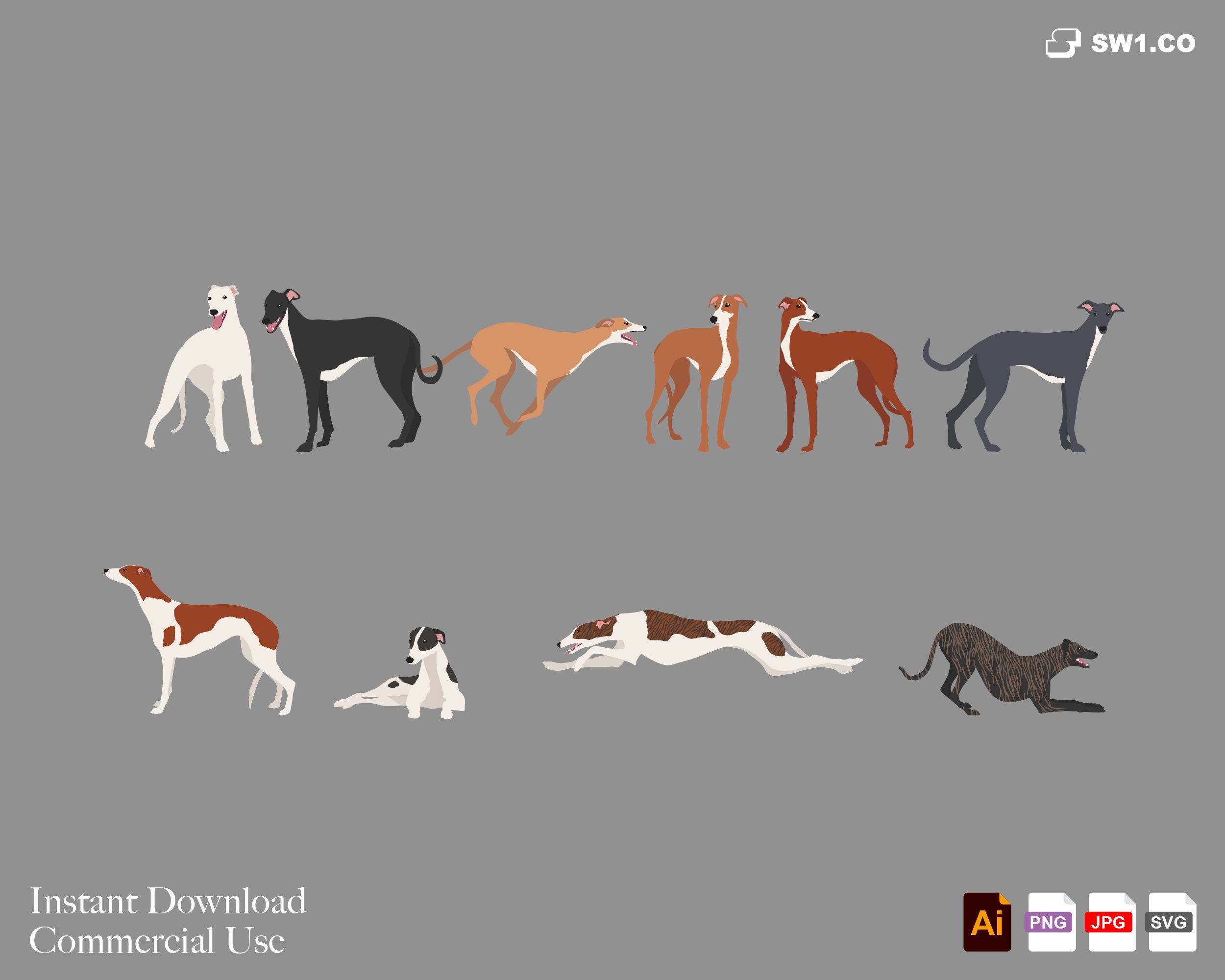 Greyhound Colors Clipart Set INSTANT DOWNLOAD Commercial Use, Greyhound ...