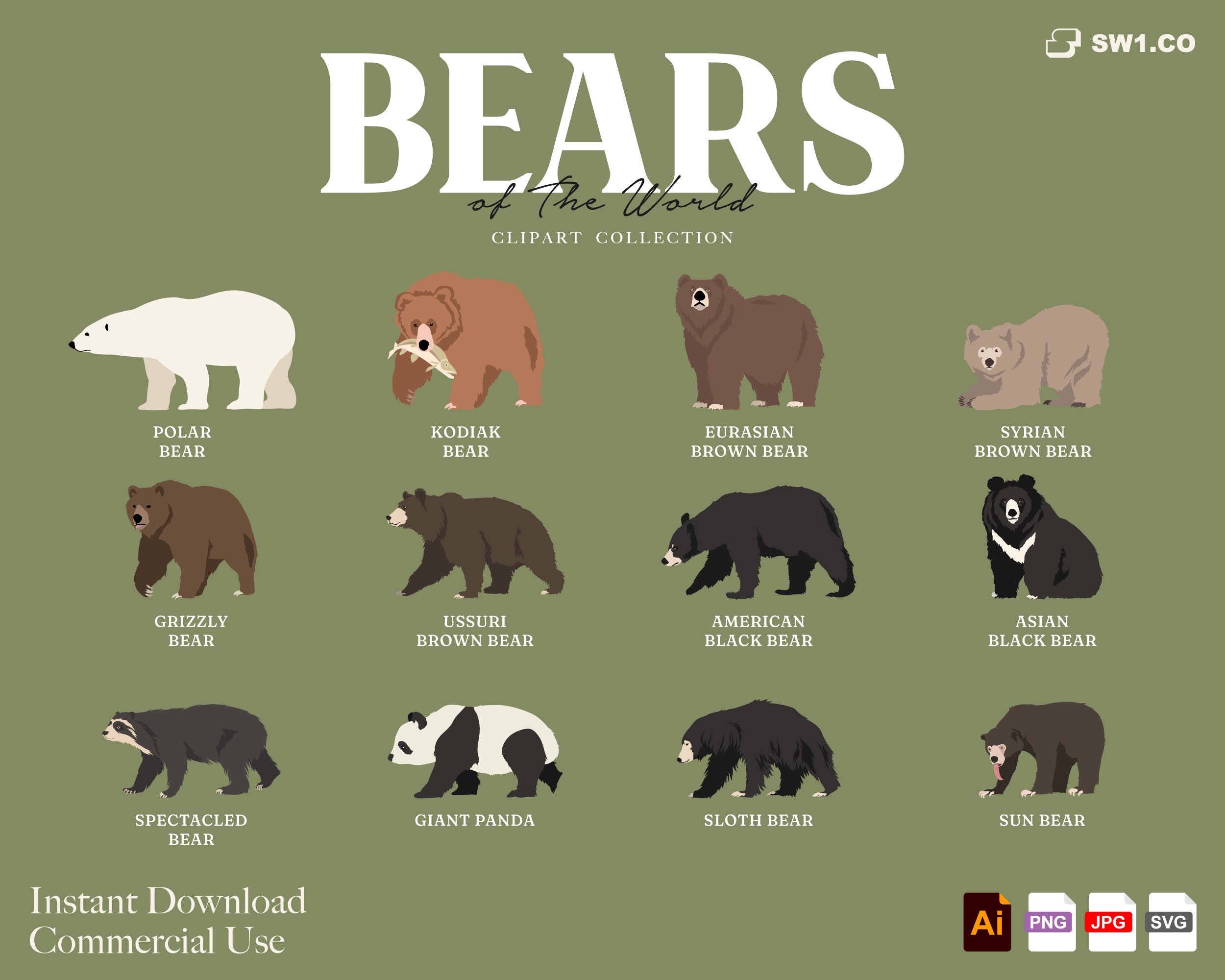 Bears Clipart Bundle | INSTANT DOWNLOAD | Commercial Use | Bears Svg ...