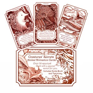 Creatures' Secrets Animal Divination Card Deck. Spirit / Tarot Deck. - Etsy