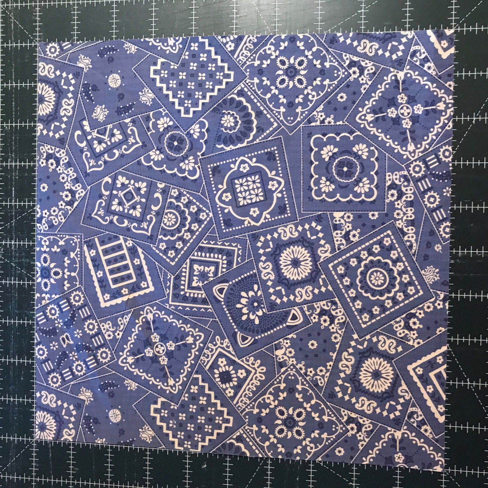 Western Print Fabric - Etsy