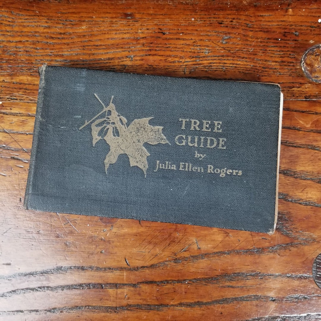 Tree Guide Julia Ellen Rogers Early 1900 Book About Trees Color B&W ...