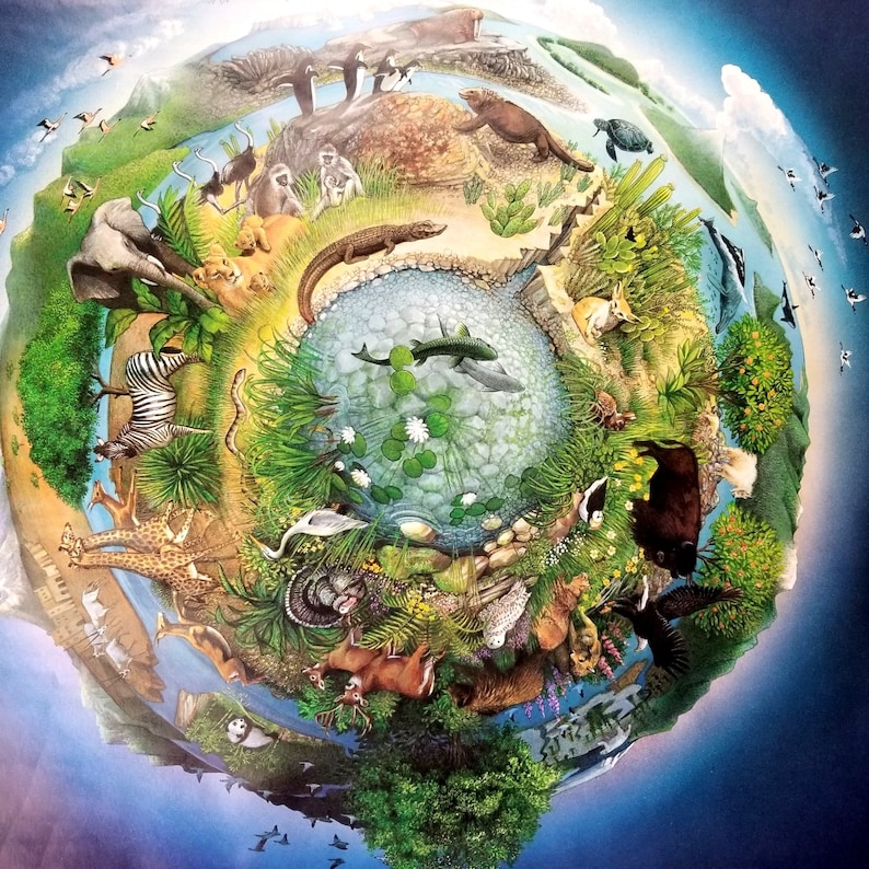 Smithsonian Magazine Earth Day Poster 1990 Suzanne Duranceau - Etsy