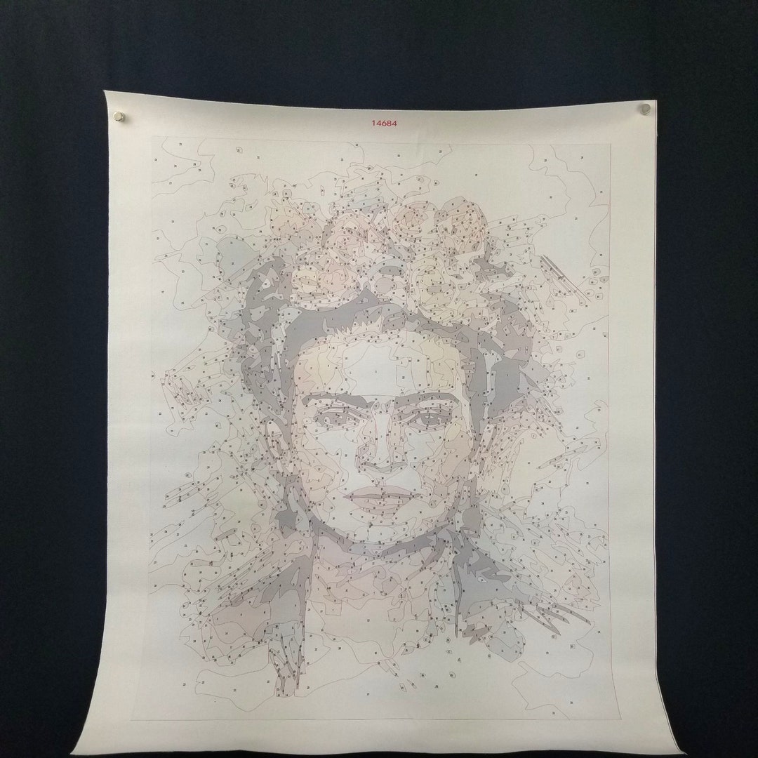 Unused 20x16 Frida Kahlo Paint by Numbers Face Canvas Numeral DIY Paint ...