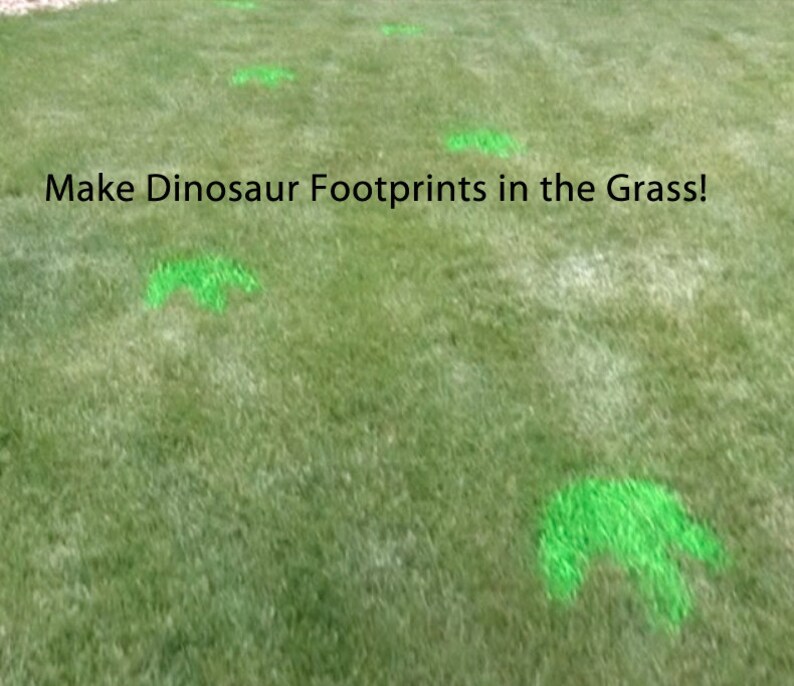 Three Dinosaur Dig Site Party Signs One Scientific Discovery - Etsy