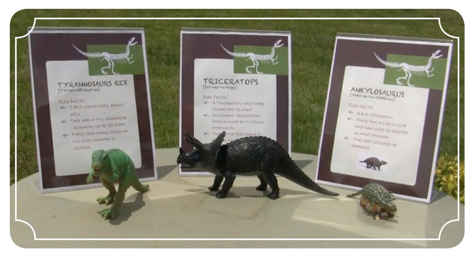 Four Dinosaur Presentation Printables Activity for Birthday - Etsy