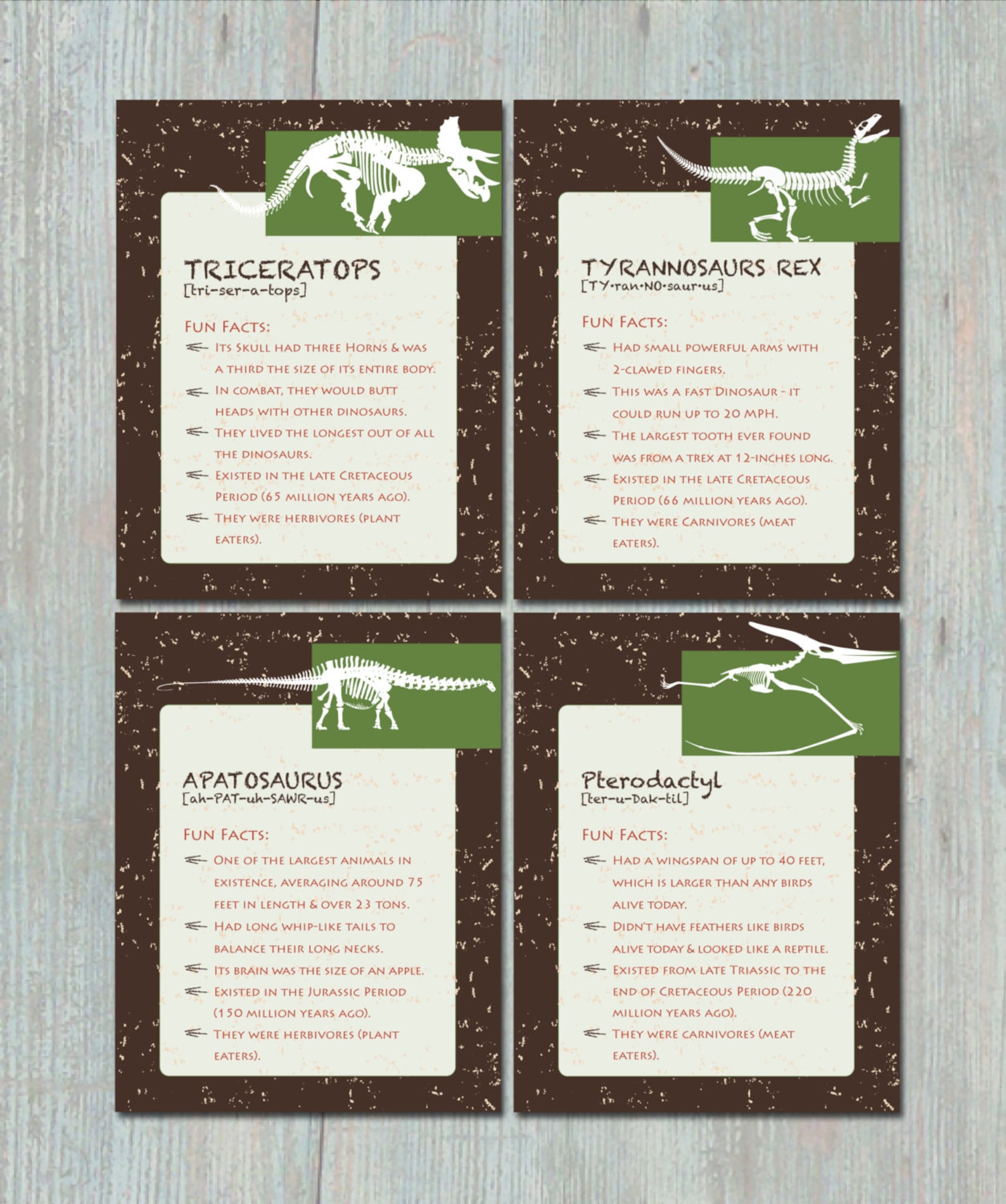 Four Dinosaur Presentation Printables Activity for Birthday - Etsy