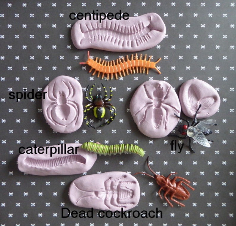 Cockroach Centipede Caterpillar Silicone Mold Cake Tool - Etsy