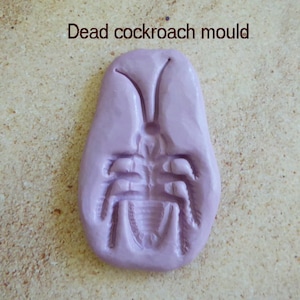 Cockroach, Centipede, Caterpillar, Silicone Molds. Cake Tool Fondant ...