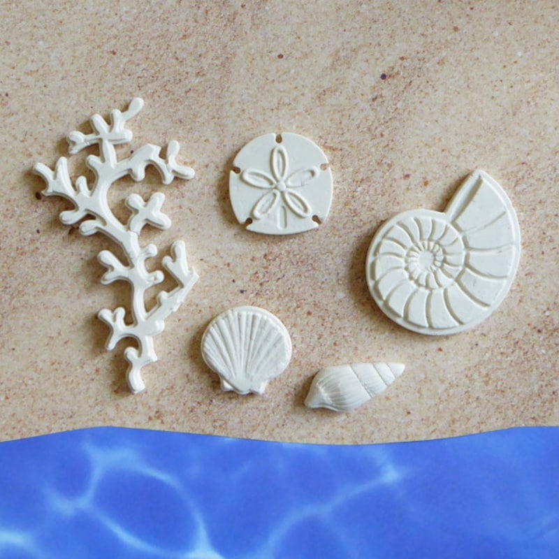Sea Shell Mold - Etsy