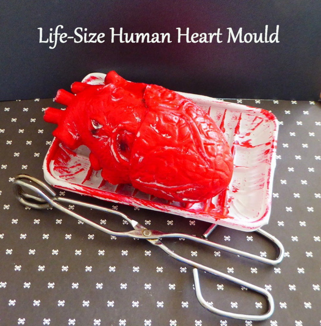Human Heart and Arteries Silicone Mold for DIY Crafts. - Etsy