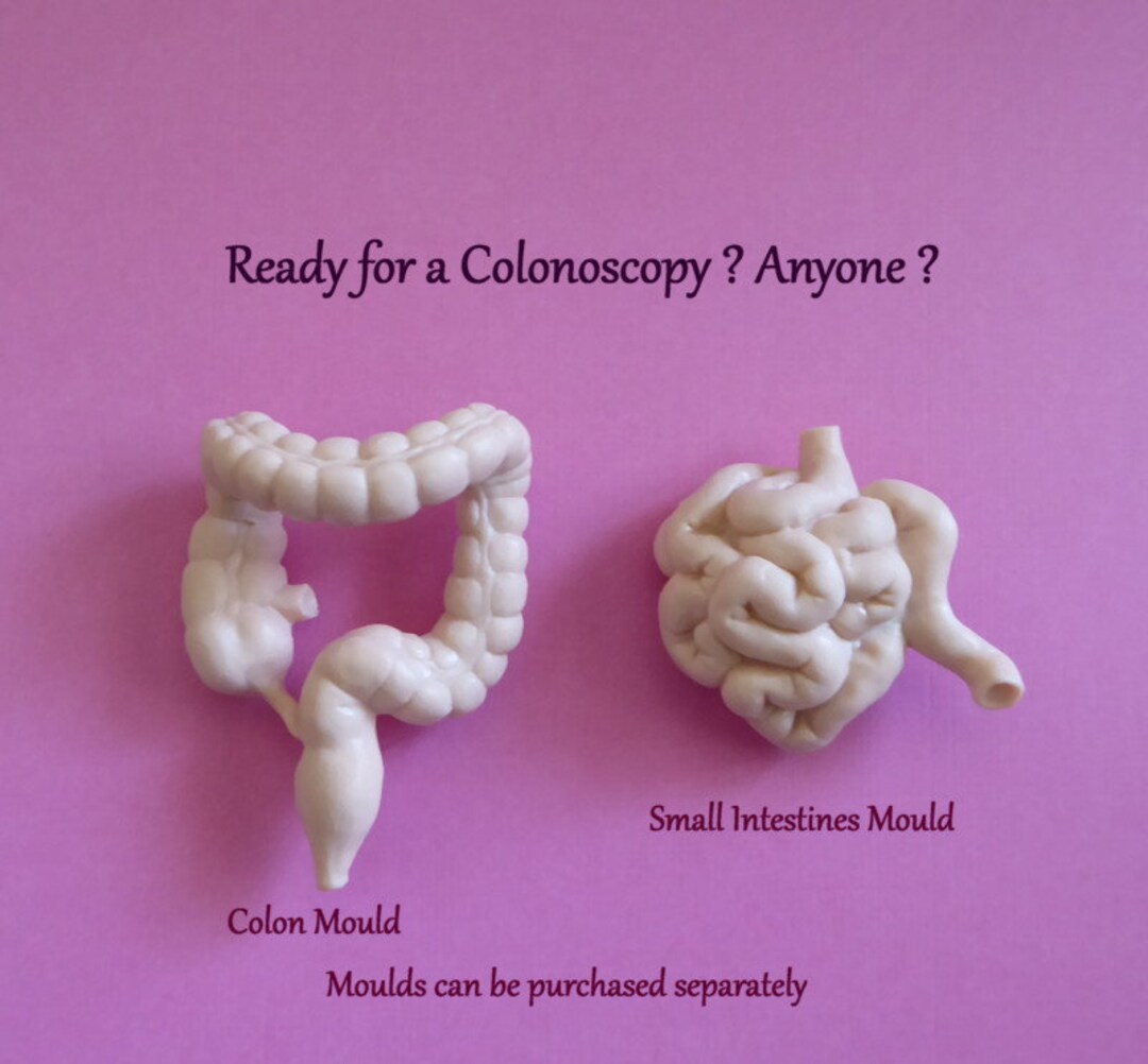 Human Colon Intestines Silicone Molds for DIY Crafts. Chocolate Candy ...