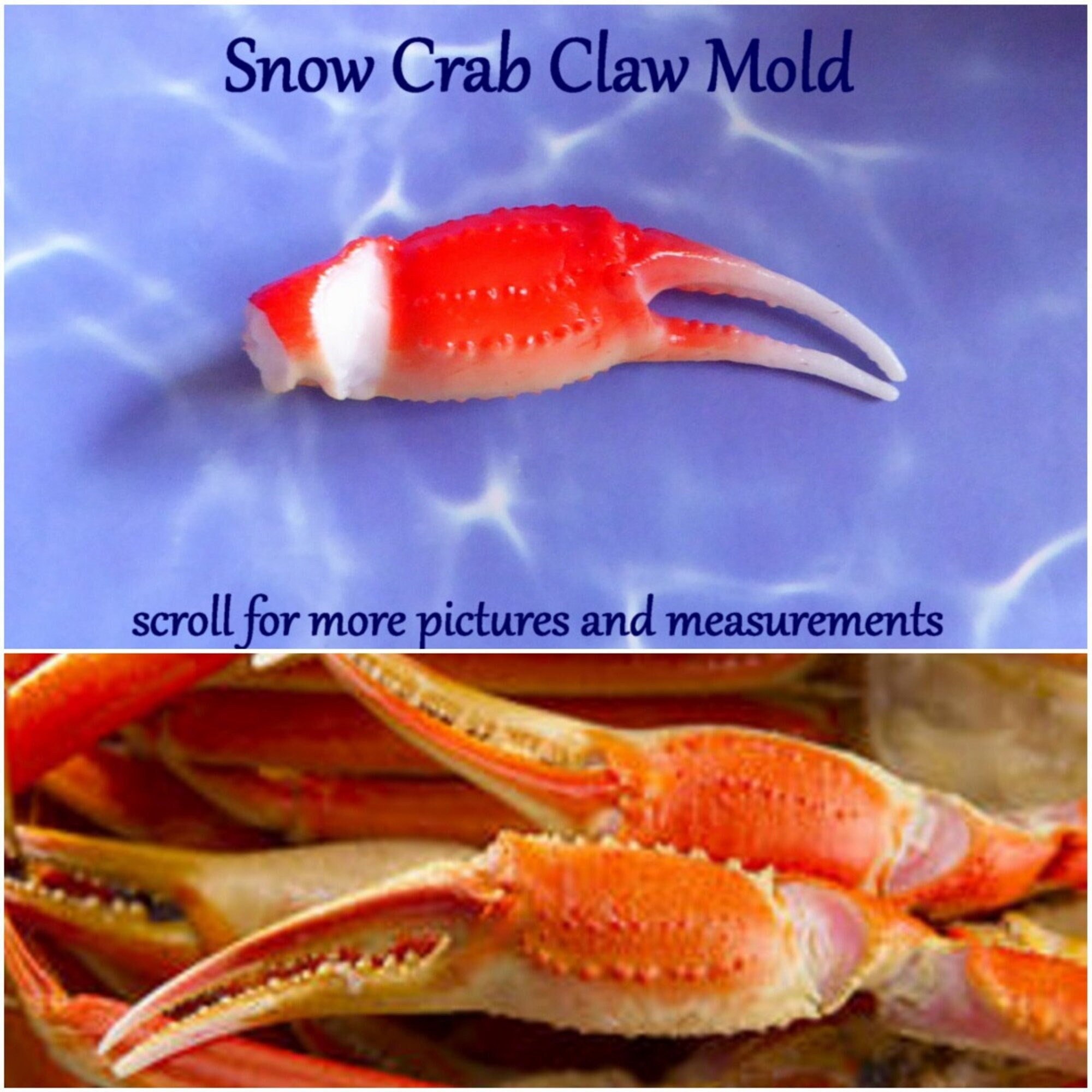 Crab Shaped Cake Mold