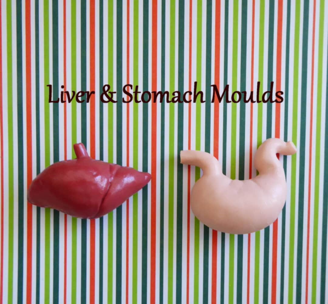 Human Organ Liver and Stomach Silicone Molds for DIY Crafts Such as ...